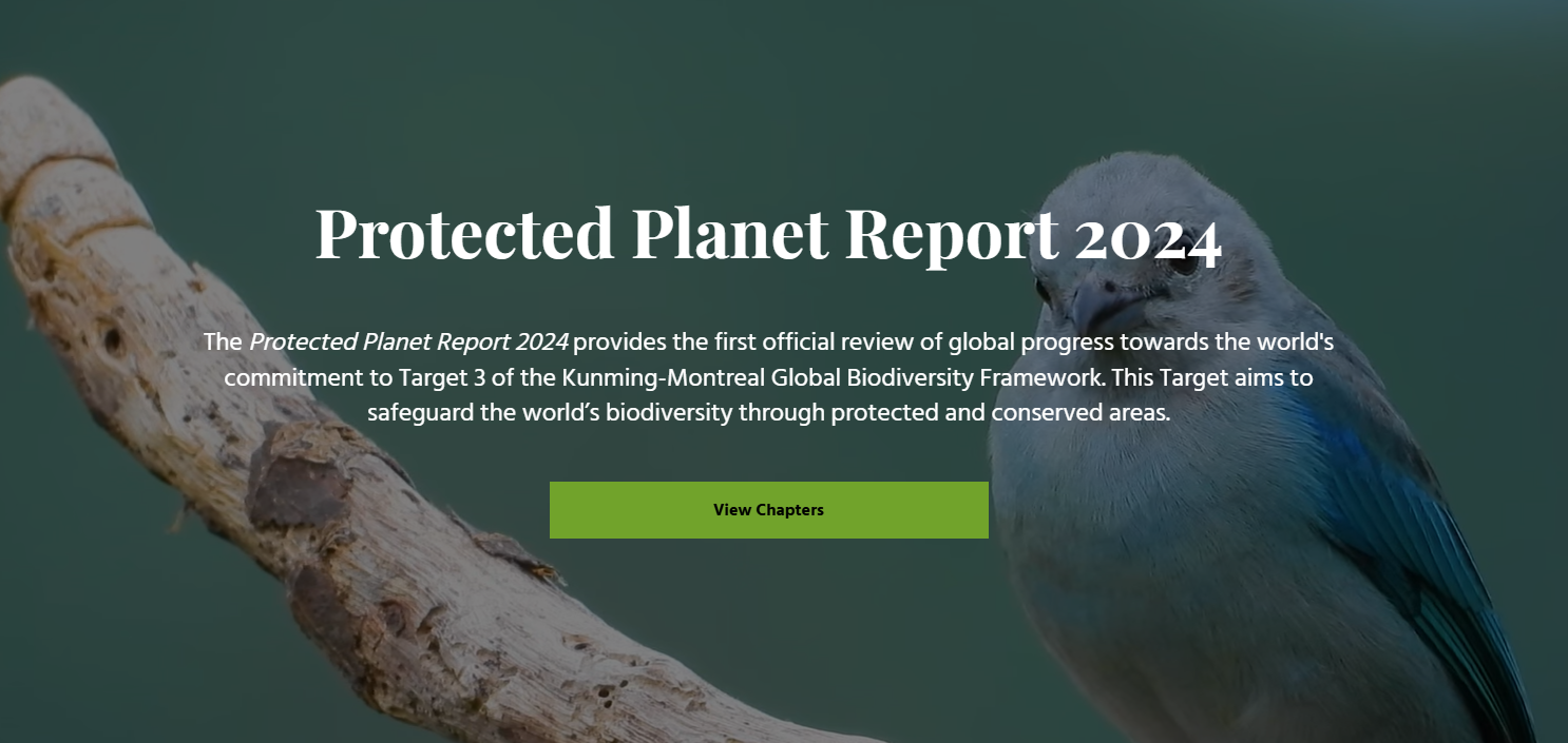 World must act faster to protect 30% of the planet: protected and conserved areas need to double ...